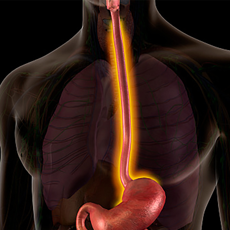 Eficacia y seguridad de los tratamientos médicos disponibles para la ...
